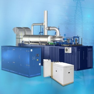 Combined Heat and Power | Renewable Hub